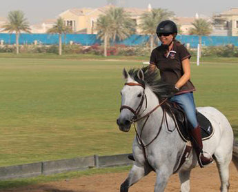 Tita - My Number One Pony | Georgian Dollar